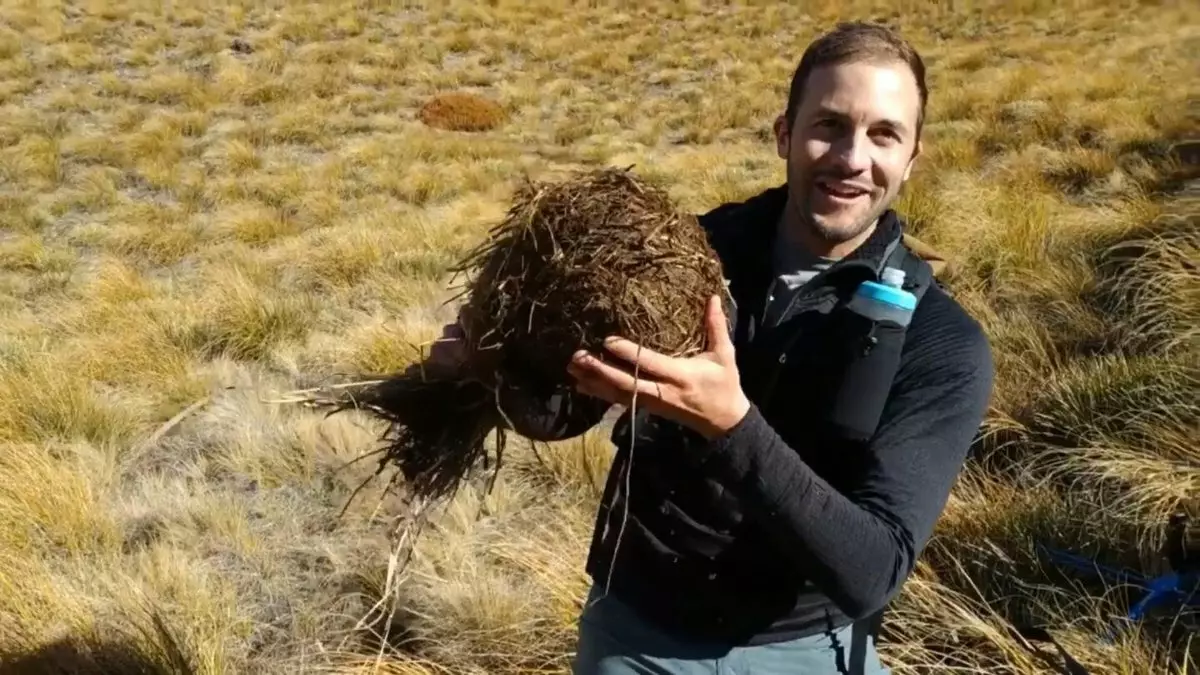 Hezhie aine mabhebhi akakonzera zvakavanzika zvavo nevakavanzika nevezvipenyu biologists