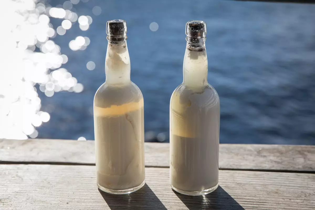 غواصان بطری را با شیر در Sunbath در Steamer 1940s یافت