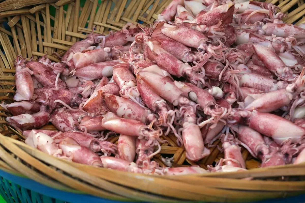 Kiina lakkaa tarttumasta kalmari. Mutta ei kauaa