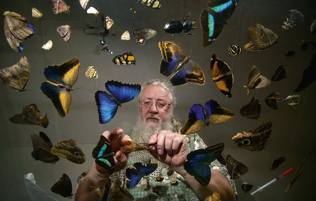 Mencari keindahan: mengapa imam mengumpulkan kupu-kupu
