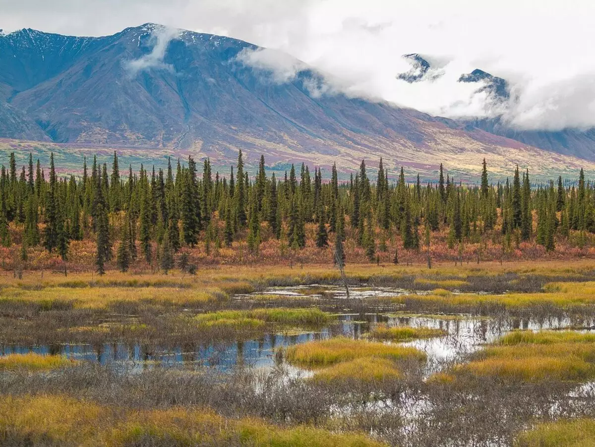 Na nke mbụ n'ime afọ 28, Alaska chọtara ụdị nruku ọhụrụ