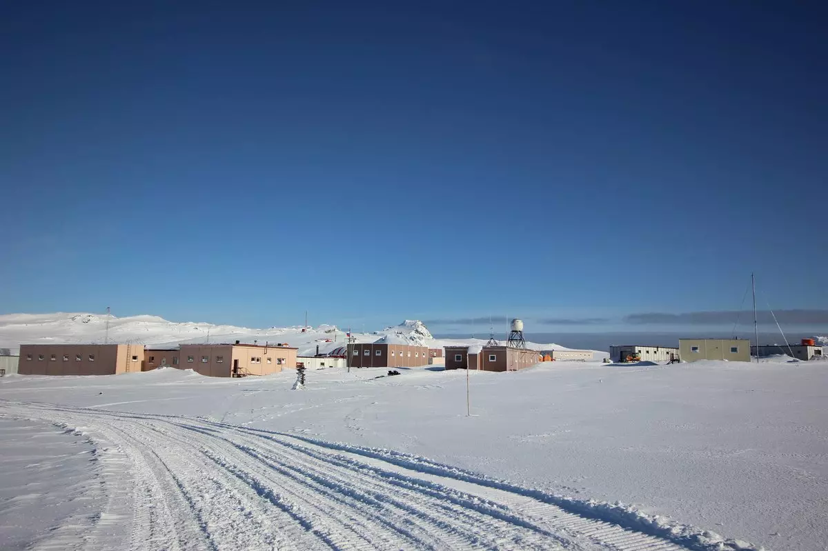 ຍຸງປະກົດຕົວໃນ Antarctica