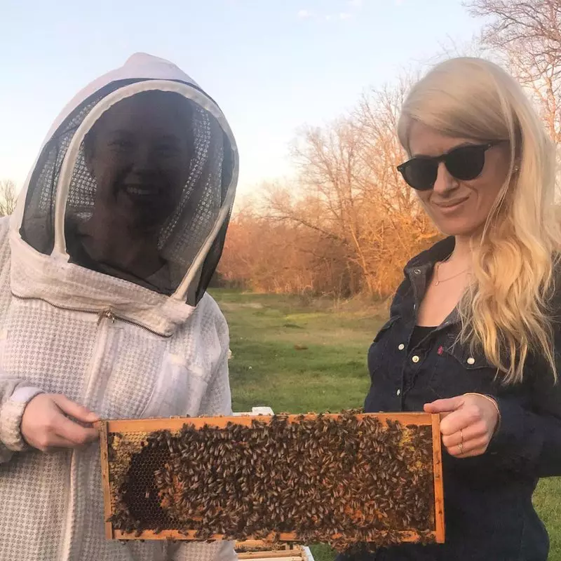 Vrouw die met bijen met blote handen loopt: video
