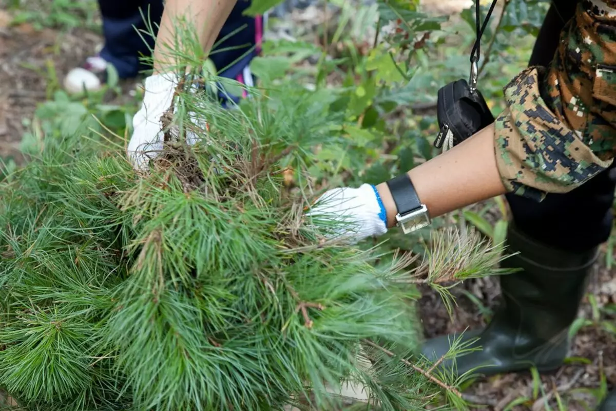 öý bırakmadan goralýan ýerleriniň gönüllü bolmak üçin: WWF gollanmany