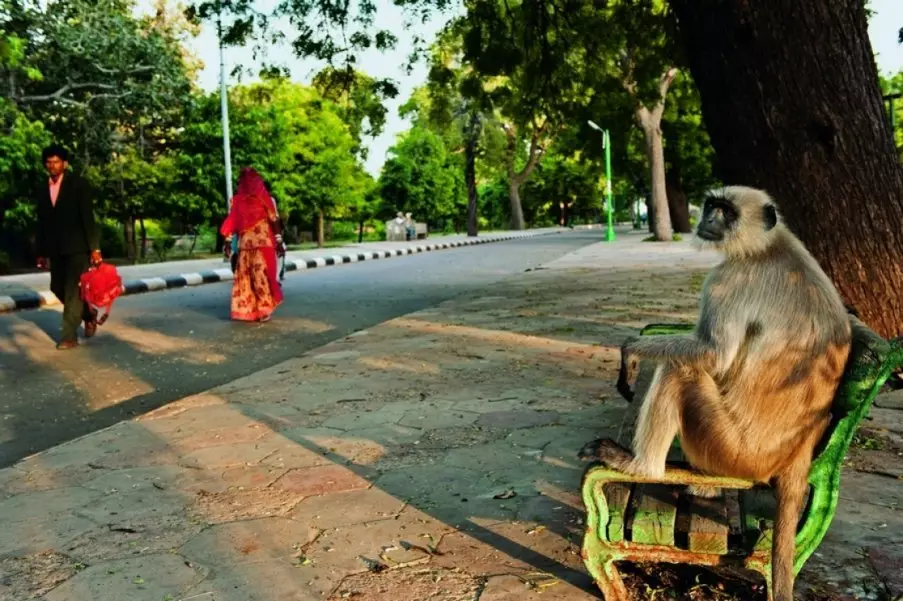 /UP लोड क्याबिल / blb/69b17747777777777777777777777847 डब्ल्यूसीएसआईएसआईएसआईएसआईएसआईएसआईएसआईएसआईएसईभ