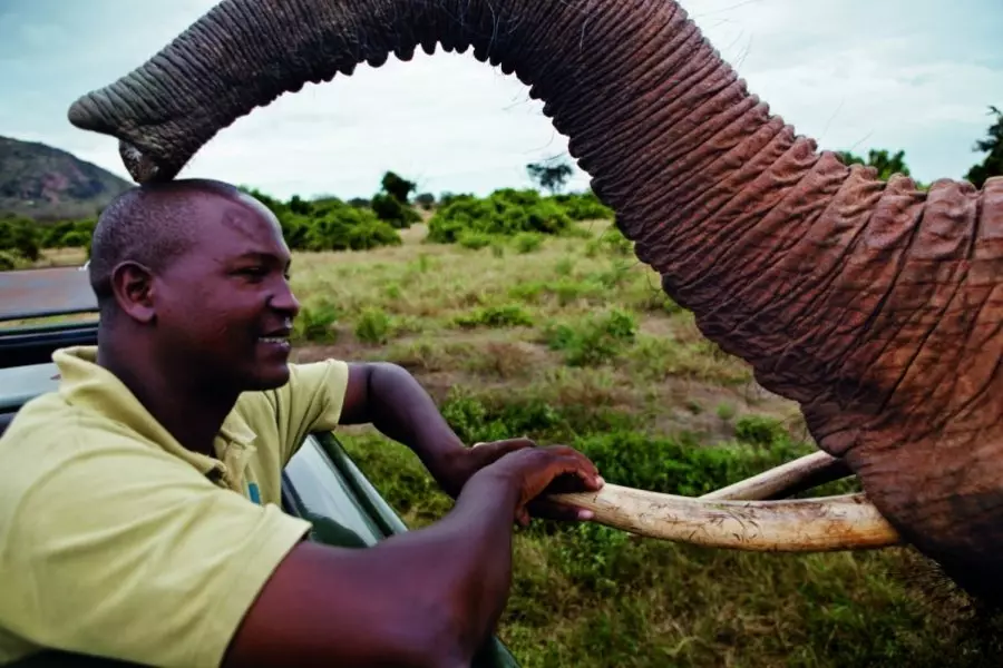 Ati enia ati ẹran: awọn itan ti wa onkawe