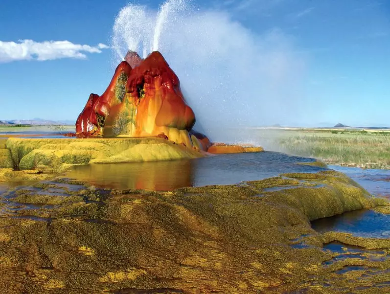 Geyser Fly: Fancy Miracle Nevada