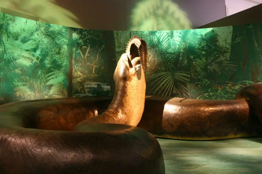 Titanoboa.