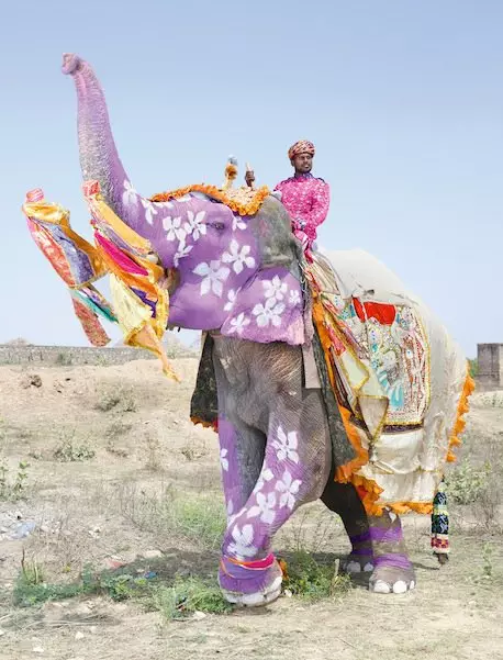 Painting on elephants