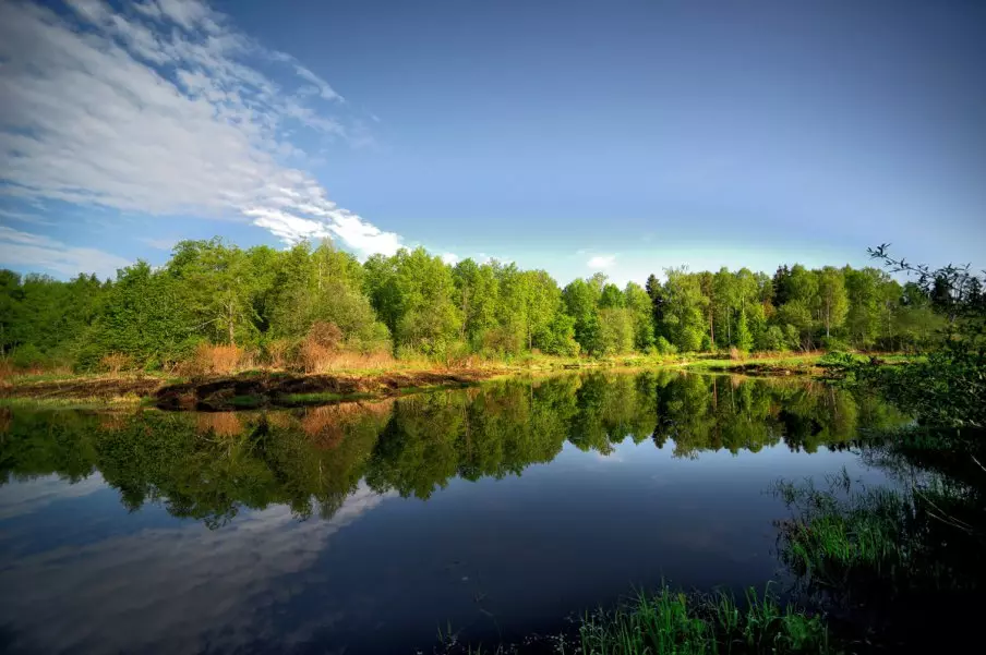 In the suburbs will create new natural parks