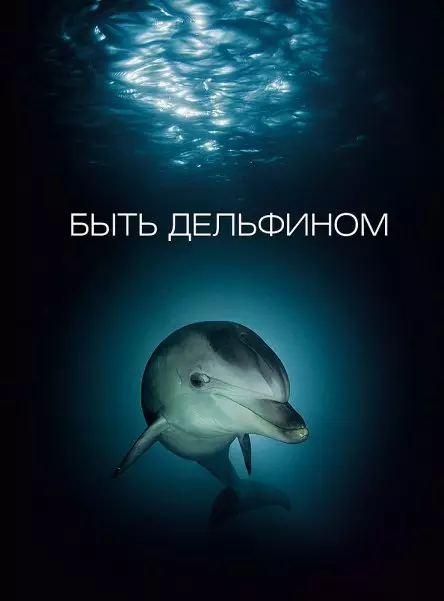Nakita ng aklat na "Maging Dolphin" ang liwanag salamat sa mga mambabasa ng National Geographic