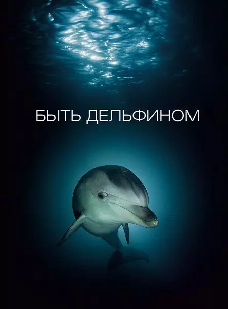 La libro "Estu Dolphin" vidis la lumon danke al la legantoj de National Geographic