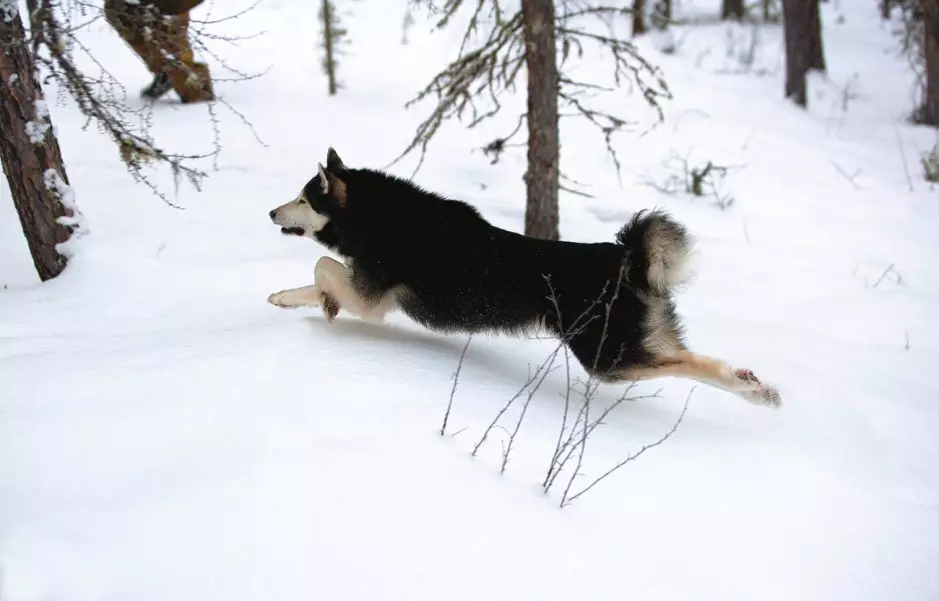 Missä vanhin henkilö tulee