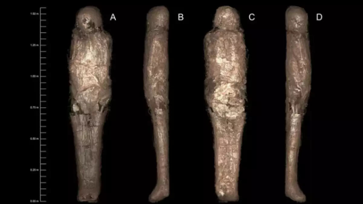 Antieke Egiptiese mummie toegedraai in 'n kokon van vuil