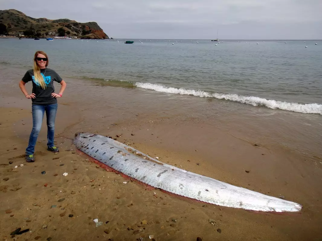 Četverometar "Marine zmija" skočila je na obalu