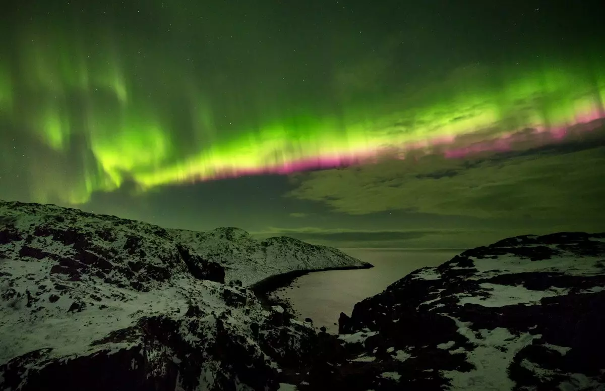 Wie Wale jagen mit Nordlicht: Video