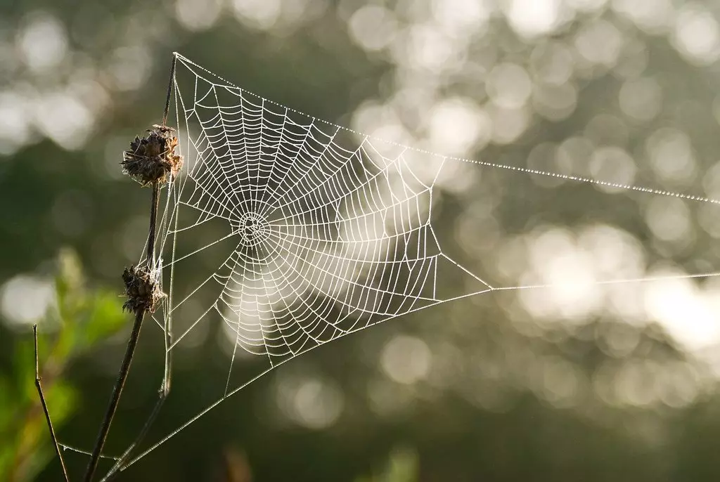 Web an Industrie: ganz nëtzlech Material