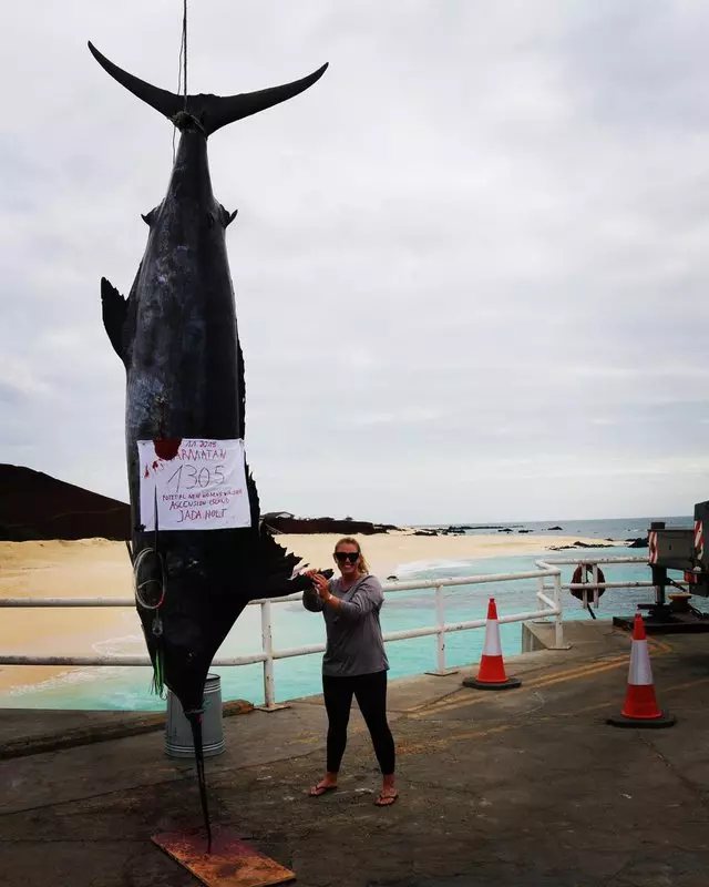 American pegou 600 quilograma Marlin