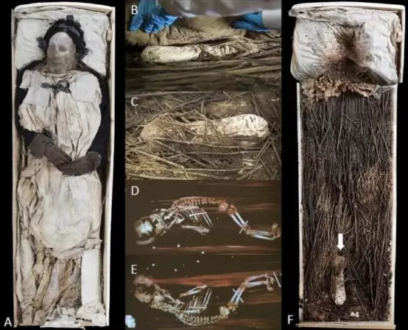 Zakaj je škof XVII stoletja pokopan skupaj z zarodoma?