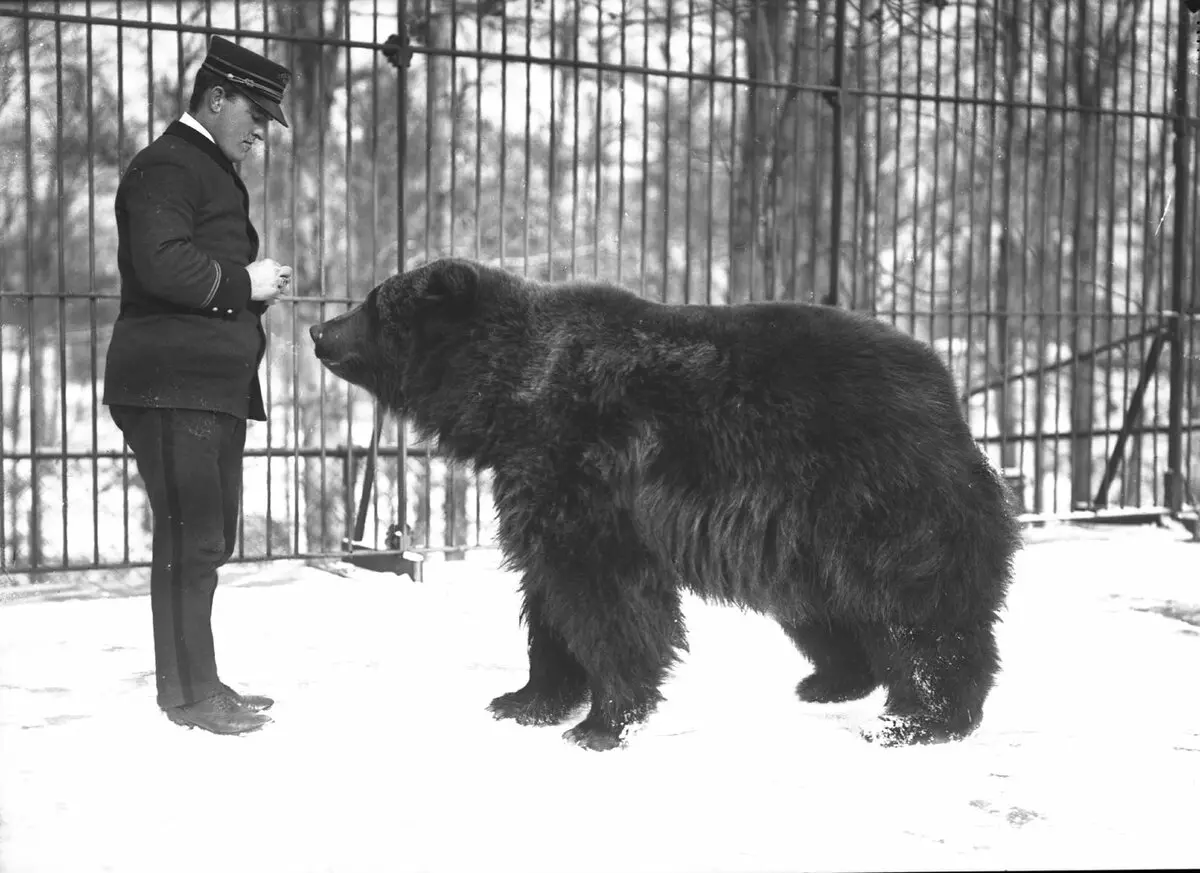 사진 아카이브 : 100 년 전 Zoos였던 것은 무엇입니까?