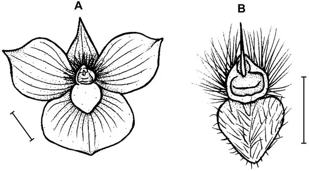 /Pouke Piblock/5f5/5F54F7E0615E061E0ED812D0DF42D8.jpg.