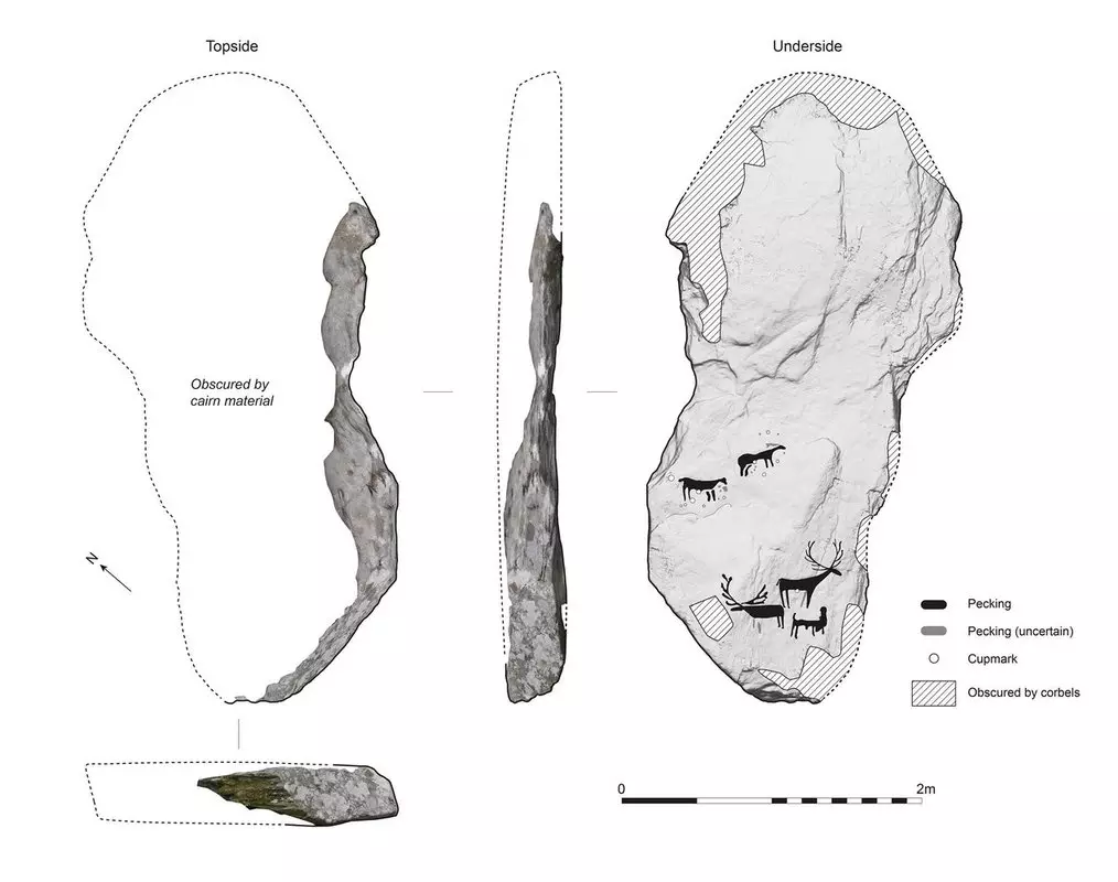 Der Archäologe amateur entdeckte geschnitzte Hirsche im schottischen Grab
