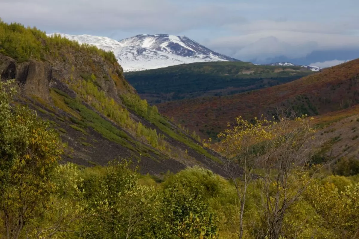 In die natuurpark "Bystrinsky" beplanning te mynbou begin