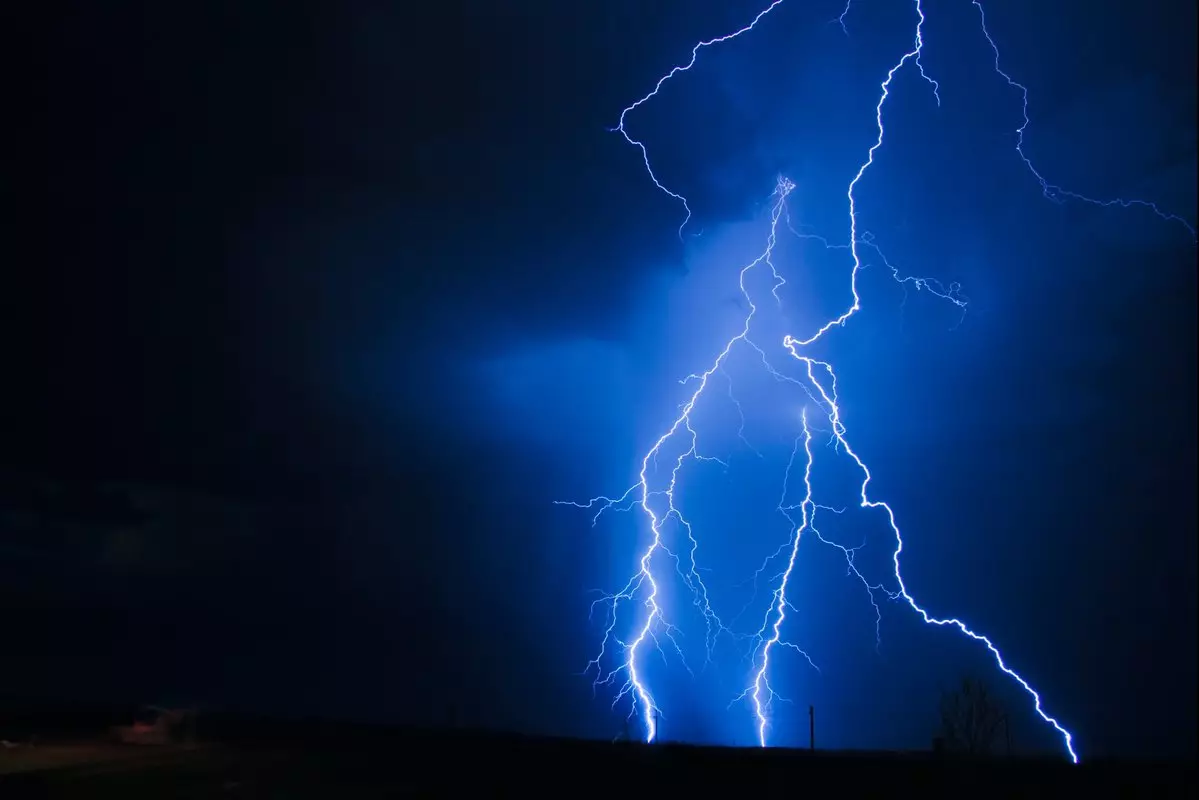 雷とヤシの木：バングラデシュ経験