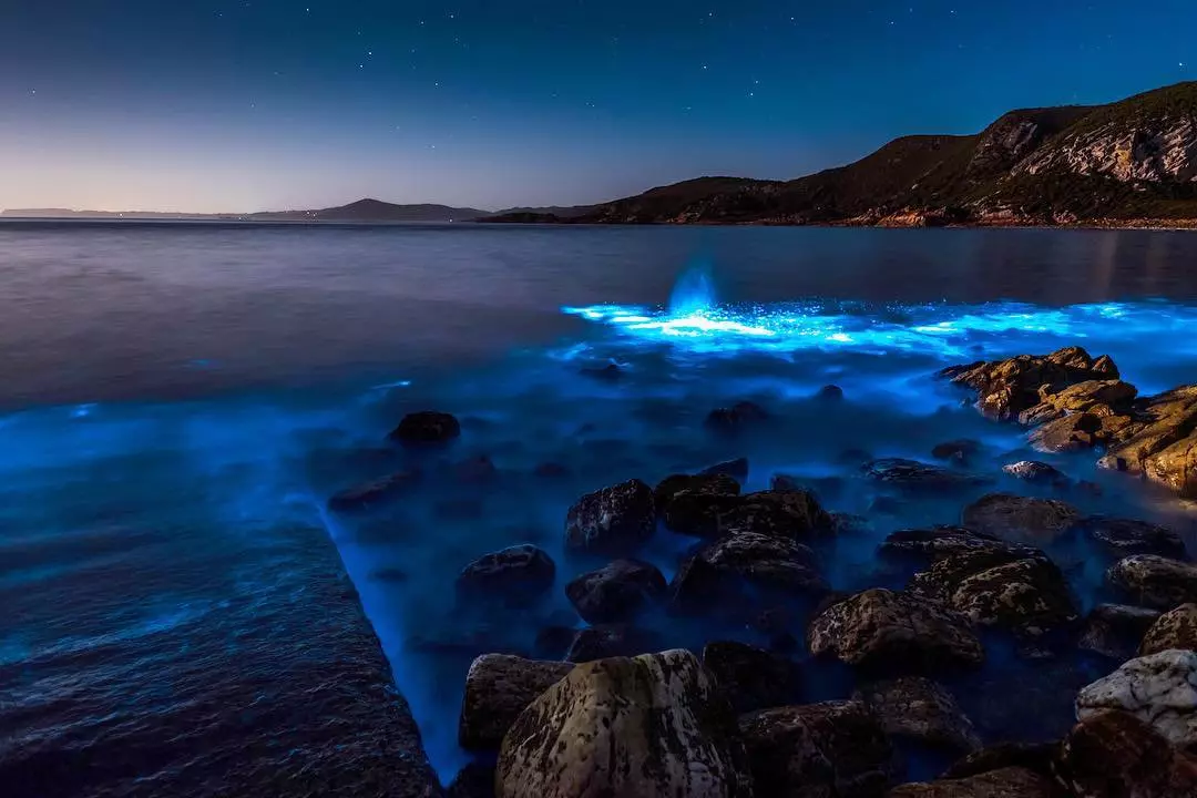 Gjiri në Australi shkëlqeu dritë blu
