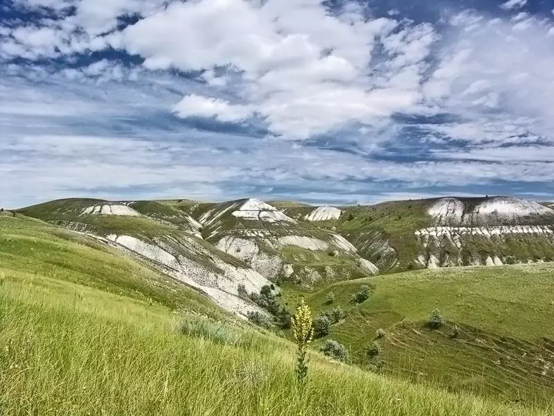 Ulyanovsk 지역에서 국립 공원 "Sengileevsky Mountains"