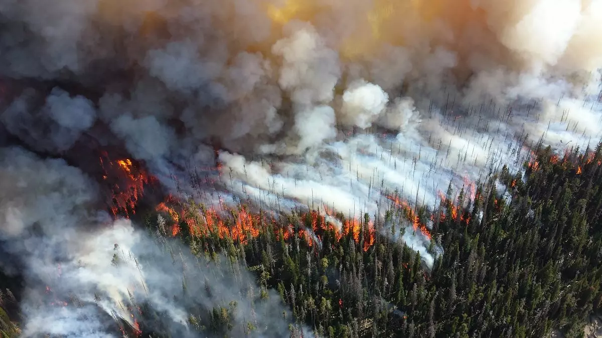En Buriàtia, boscos protegits estan cremant