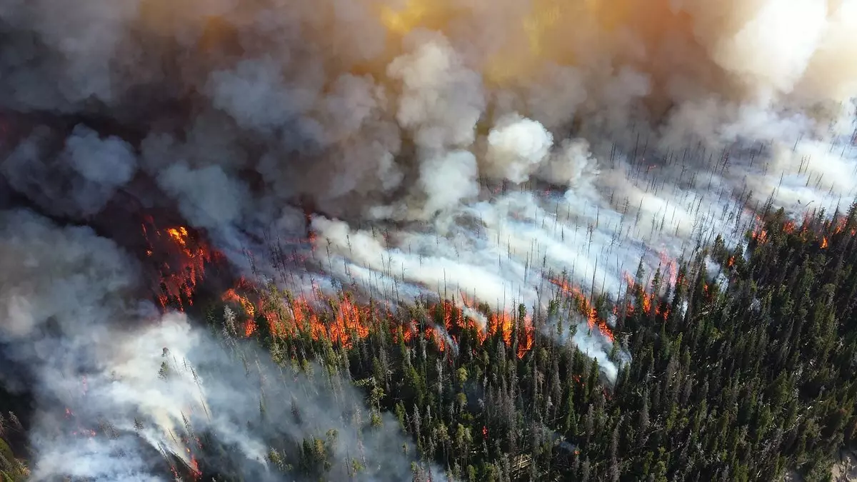 In Buryatia, protected forests are burning