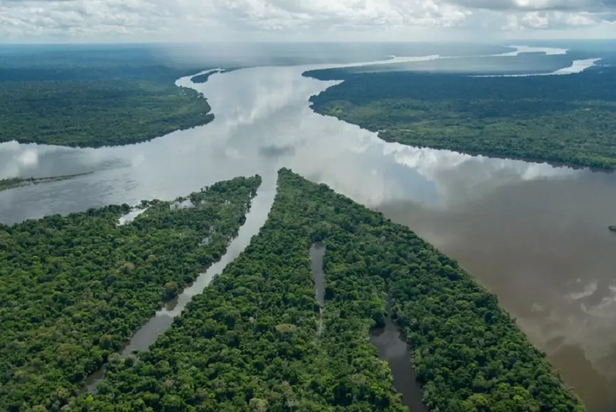 Amazonia: ċampjin tal-bijodiversità