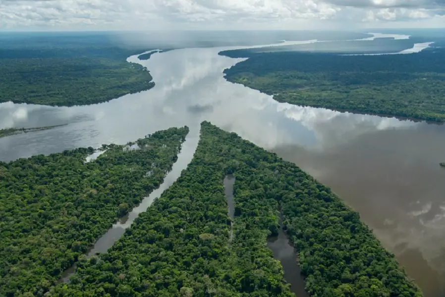 Amazonija: bioloģiskās daudzveidības čempions