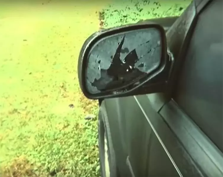 Amerikkalainen Woodpecker taistelee autoja: Video