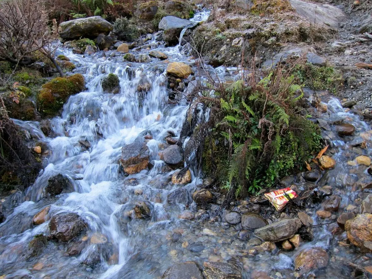 MuSchiaki Park, vashanyi vaiunganidza marara vachadzosera mari yetiketi