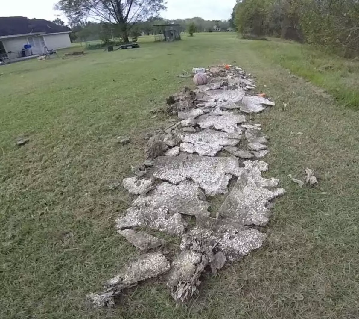 Giant Socket Surge Stærð með ísskáp: Video