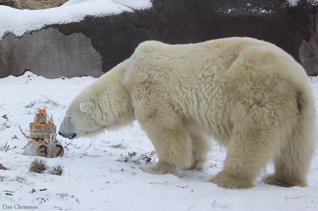 Най-старите в САЩ White Mesman празнува рожден ден: видео