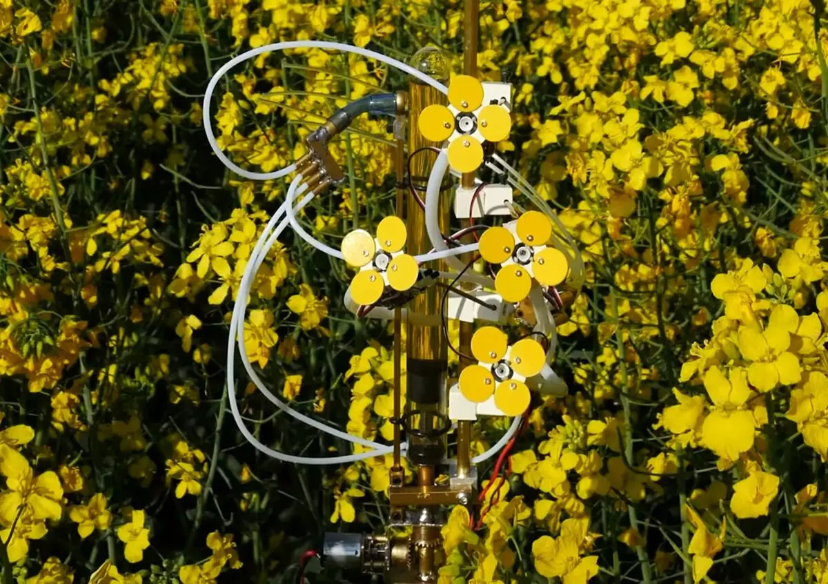 Pcheles a présenté des fleurs artificielles - et ils les pollinent!