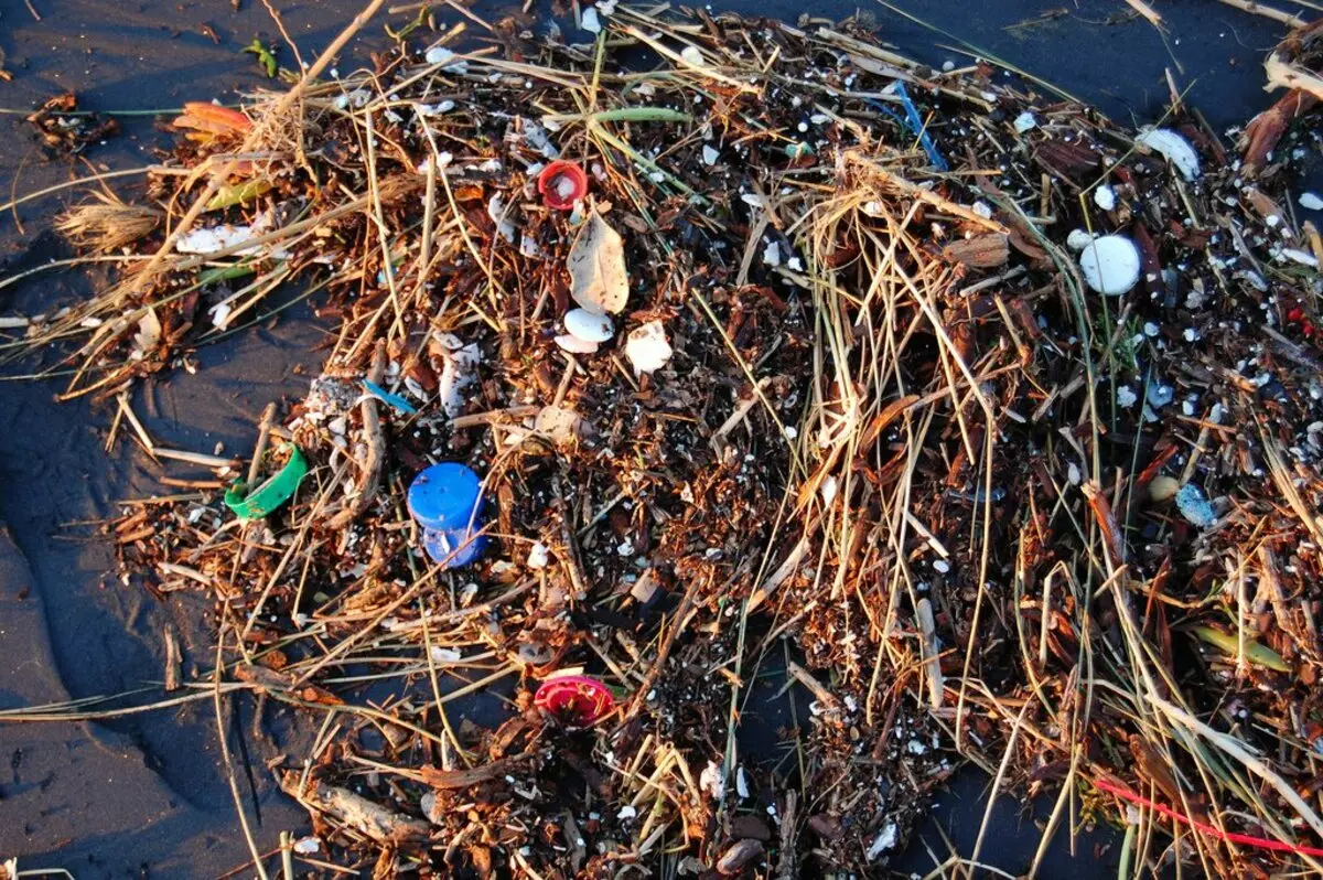 太平洋のゴミ汚れは、より多くの科学者とみなさ以上であることが判明しました