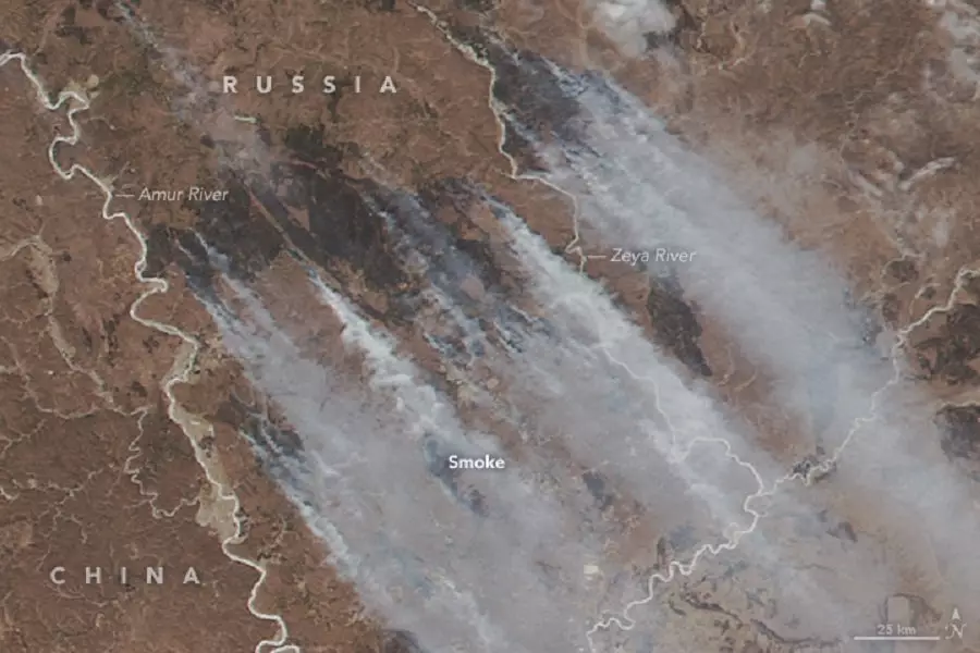 الحرائق في الشرق الأقصى: بريموري ومنطقة آمور وحرق