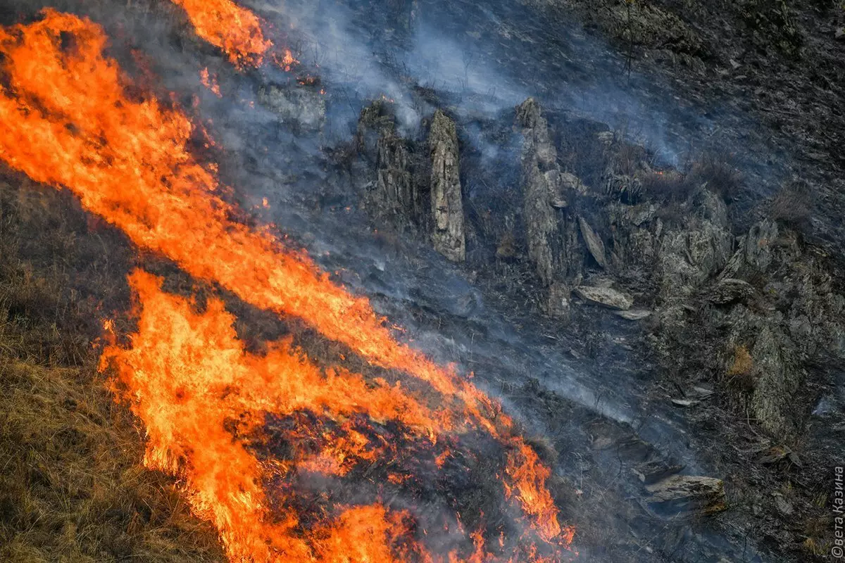 Fasilitas Hutan di Rusia