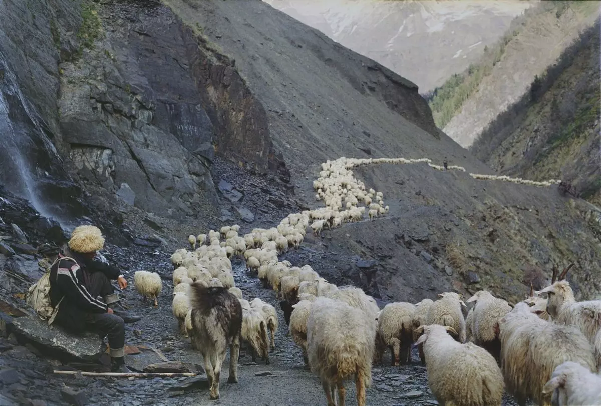 Pasta minevikus: Tusk Shepherds