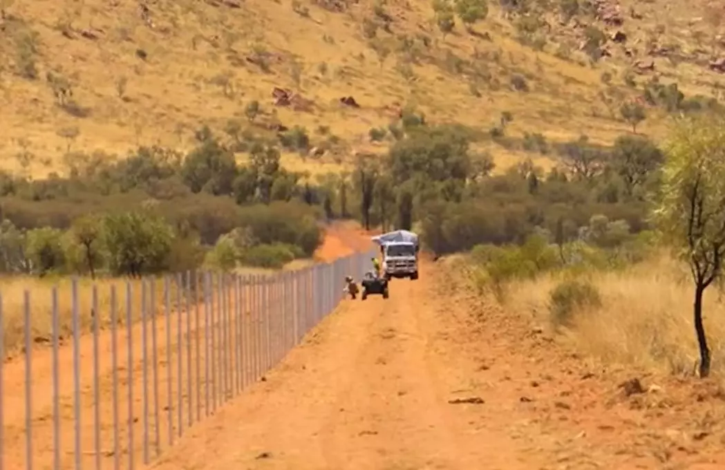De langste hek fan 'e wrâld tsjin katten is boud yn Austraalje