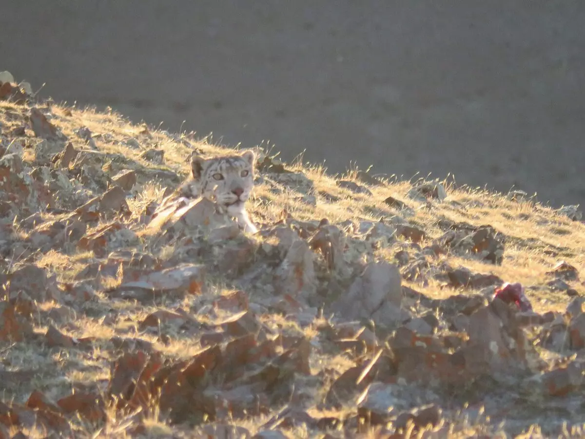 Alunos se encontraram cara a cara com as barras de Altai Neve