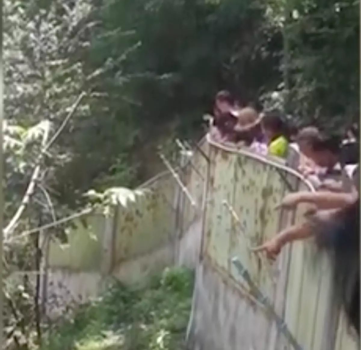 Wageni kwa Zoo ya Kichina kutupa mawe ya pound: video