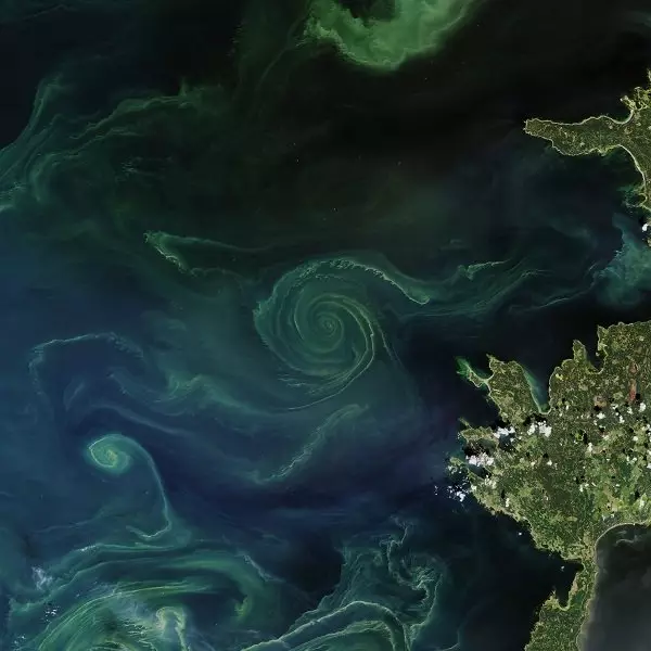 波罗的海如何：照片NASA