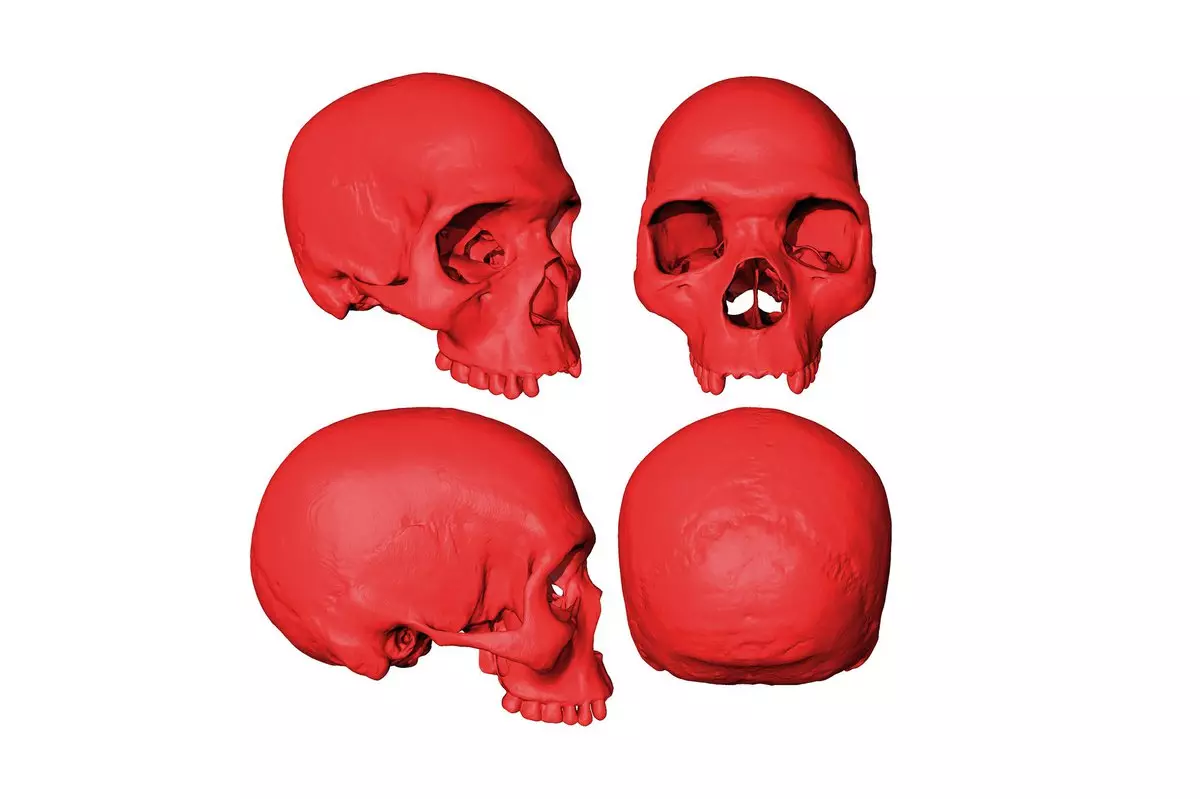 Научниците го дизајнираа моделот на черепот на општиот предок на сите луѓе