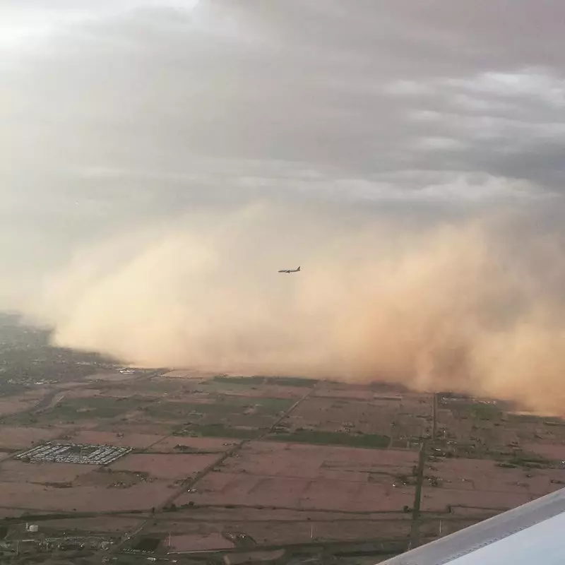 ¿Qué aspecto tiene un aspecto jorobado: foto y video de Arizona?