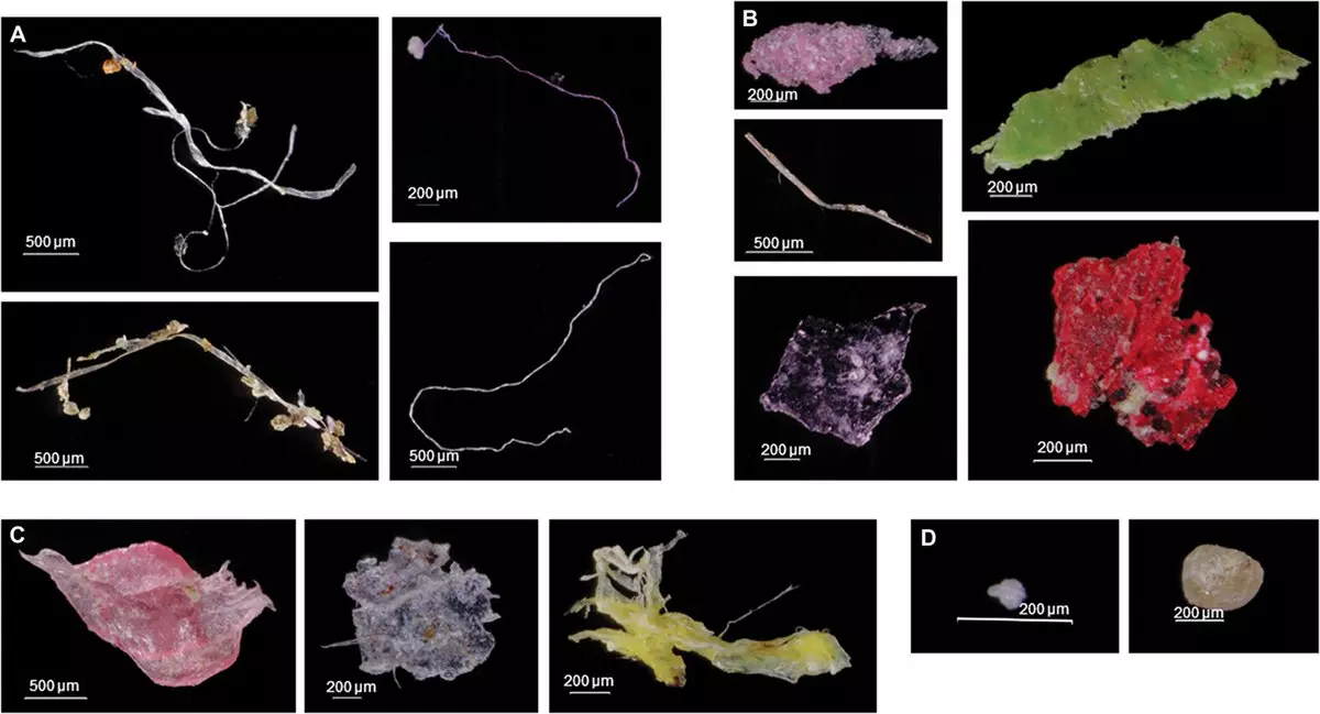 Balaastiig noqotay fossil (iyo uruurinta ay labanlaabto 15-kii sano ee kasta)